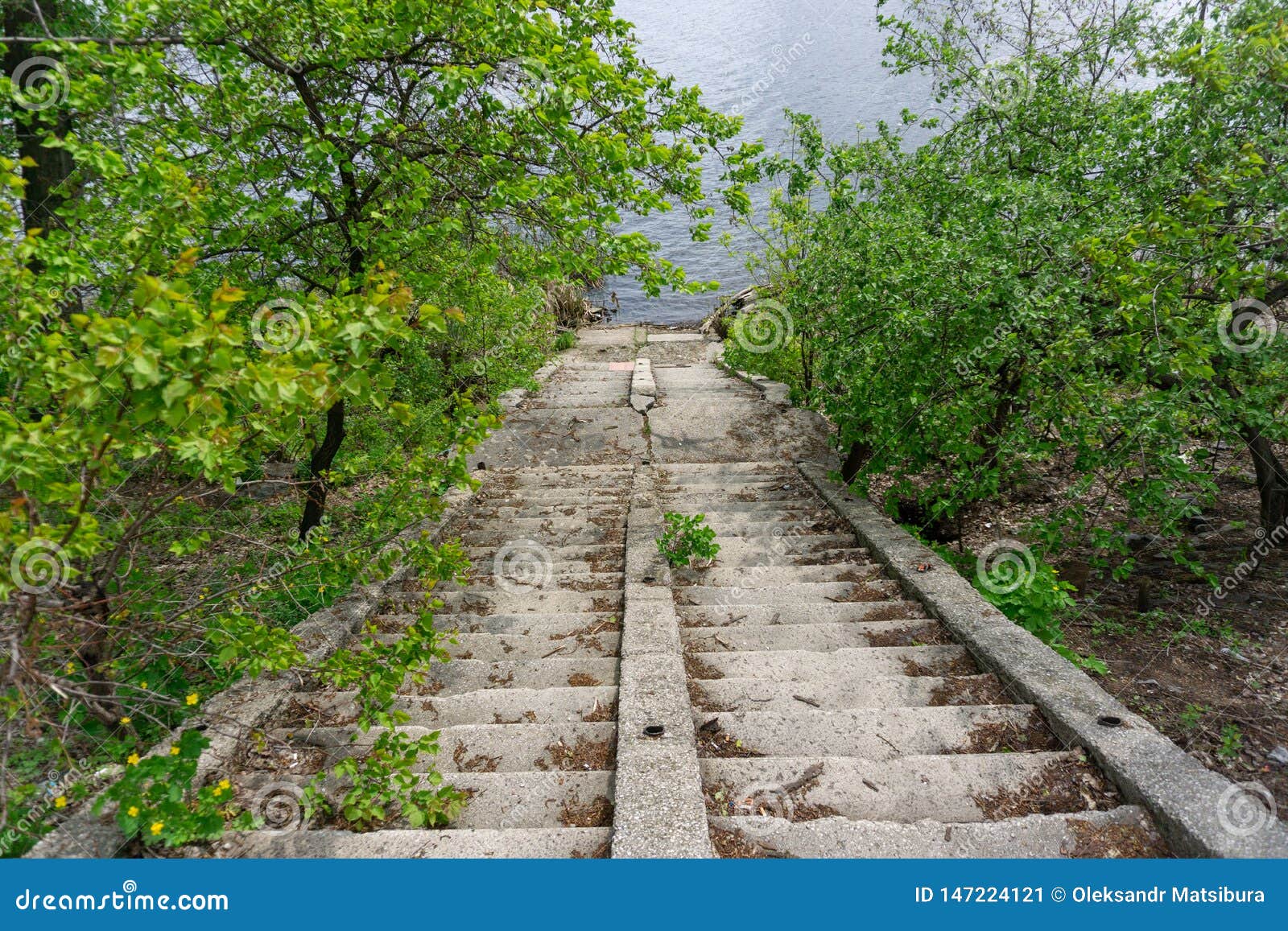Steps to the Dnipro river stock image. Image of color - 147224121