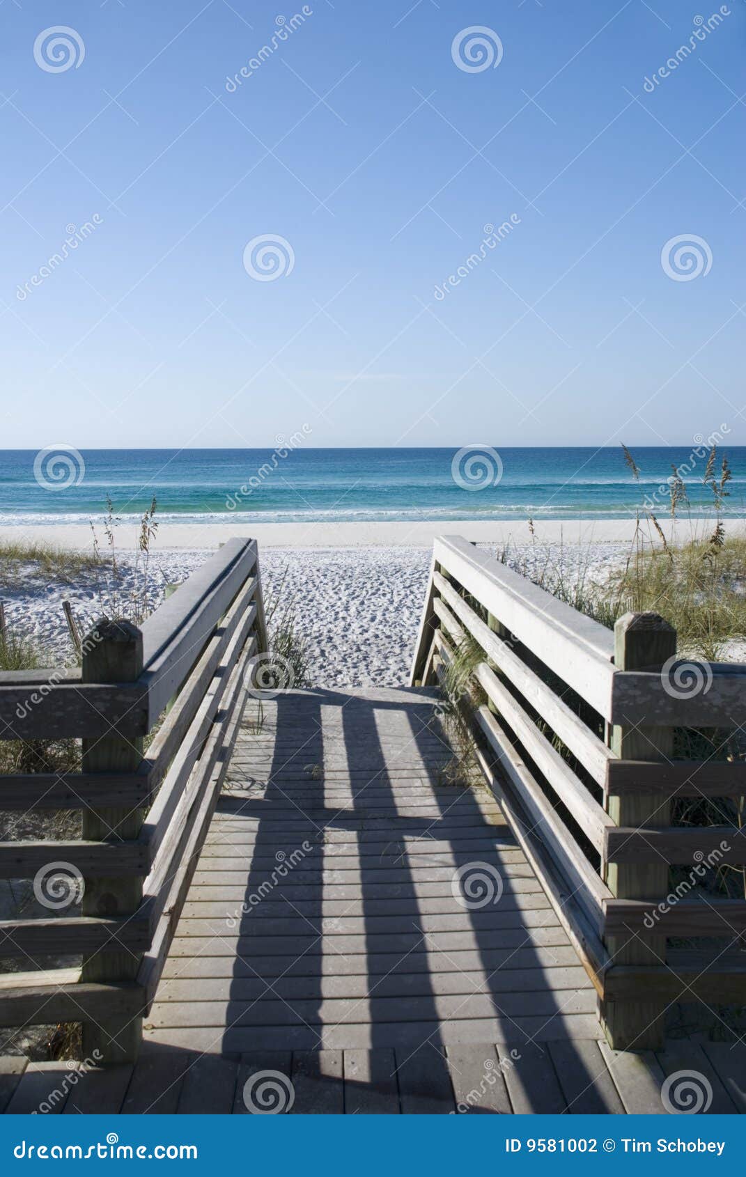 Steps to gulf shore stock photo. Image of foliage, coast - 9581002
