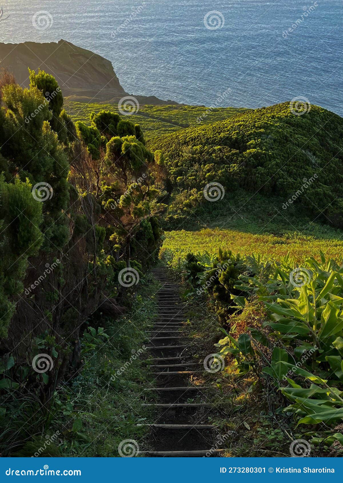 Steps to the ocean stock image. Image of terrain, road - 273280301