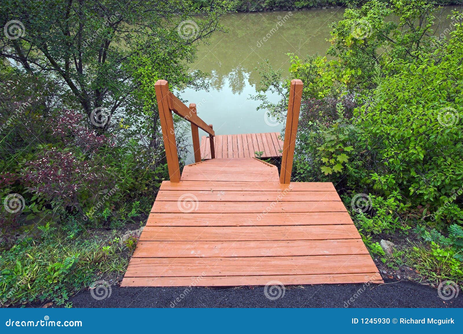 Steps to the Water stock photo. Image of forest, canal - 1245930