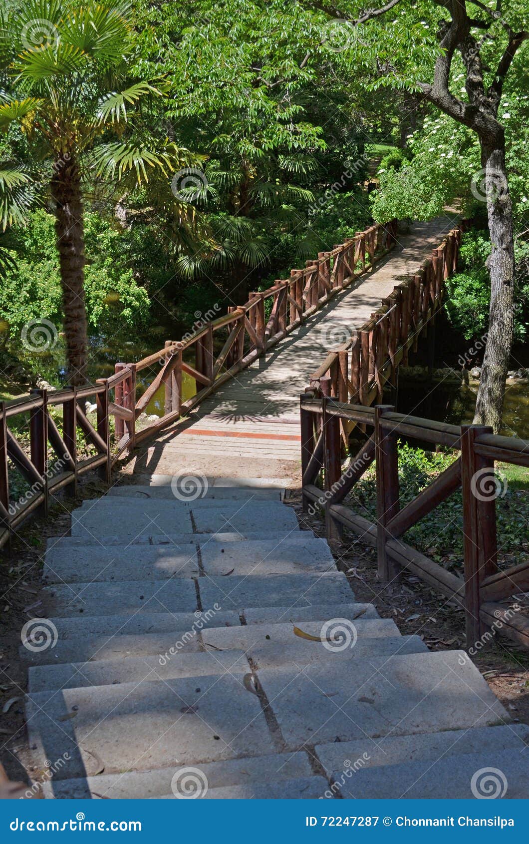 Steps to the wooden bridge stock image. Image of grass - 72247287