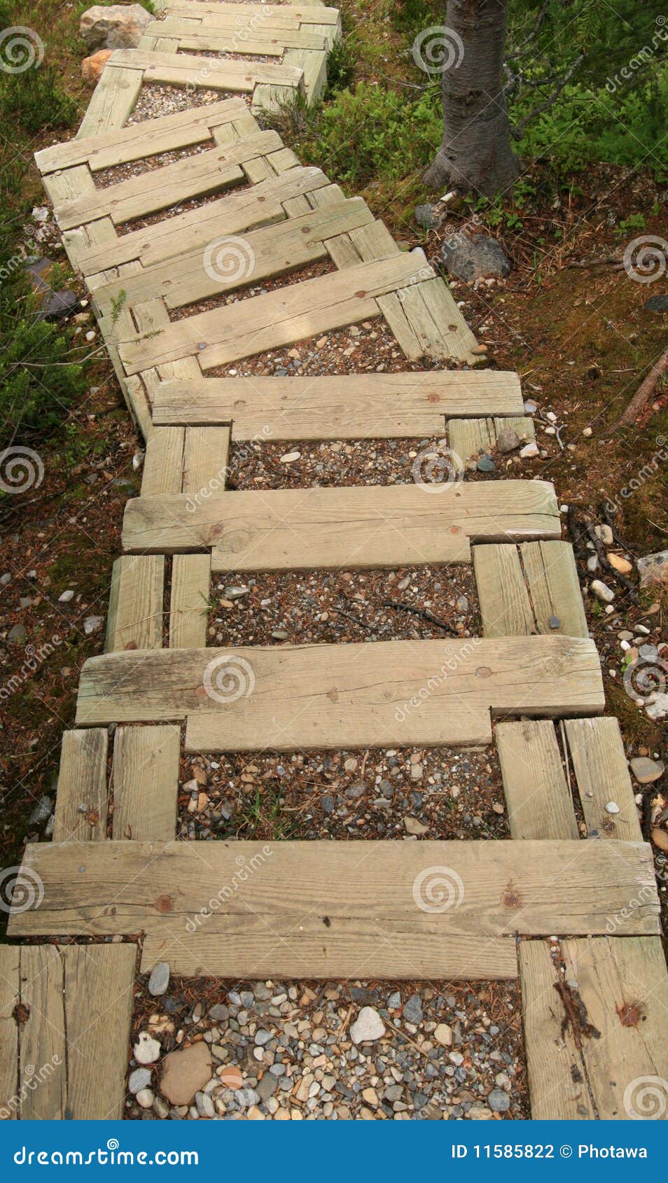 Steps on Trail in Yoho stock photo. Image of looking - 11585822