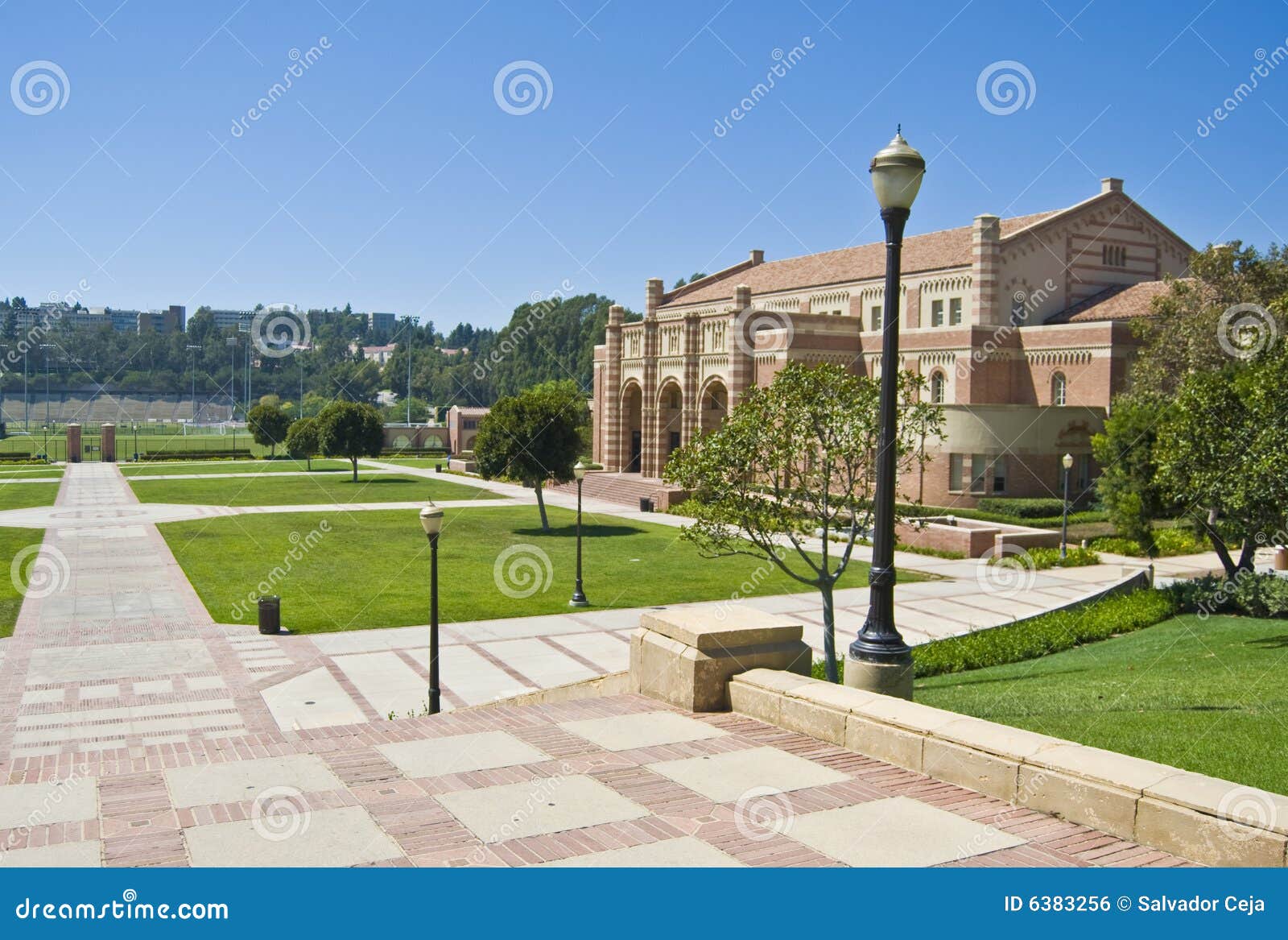 Steps at UCLA campus editorial photo. Image of lawn, student - 6383256