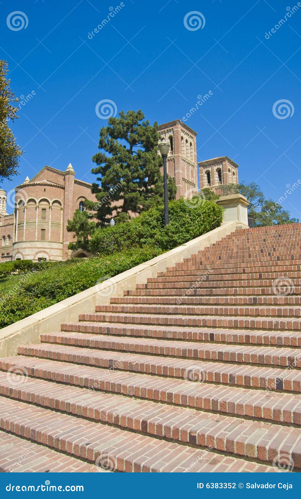 Steps at University campus editorial photography. Image of university ...