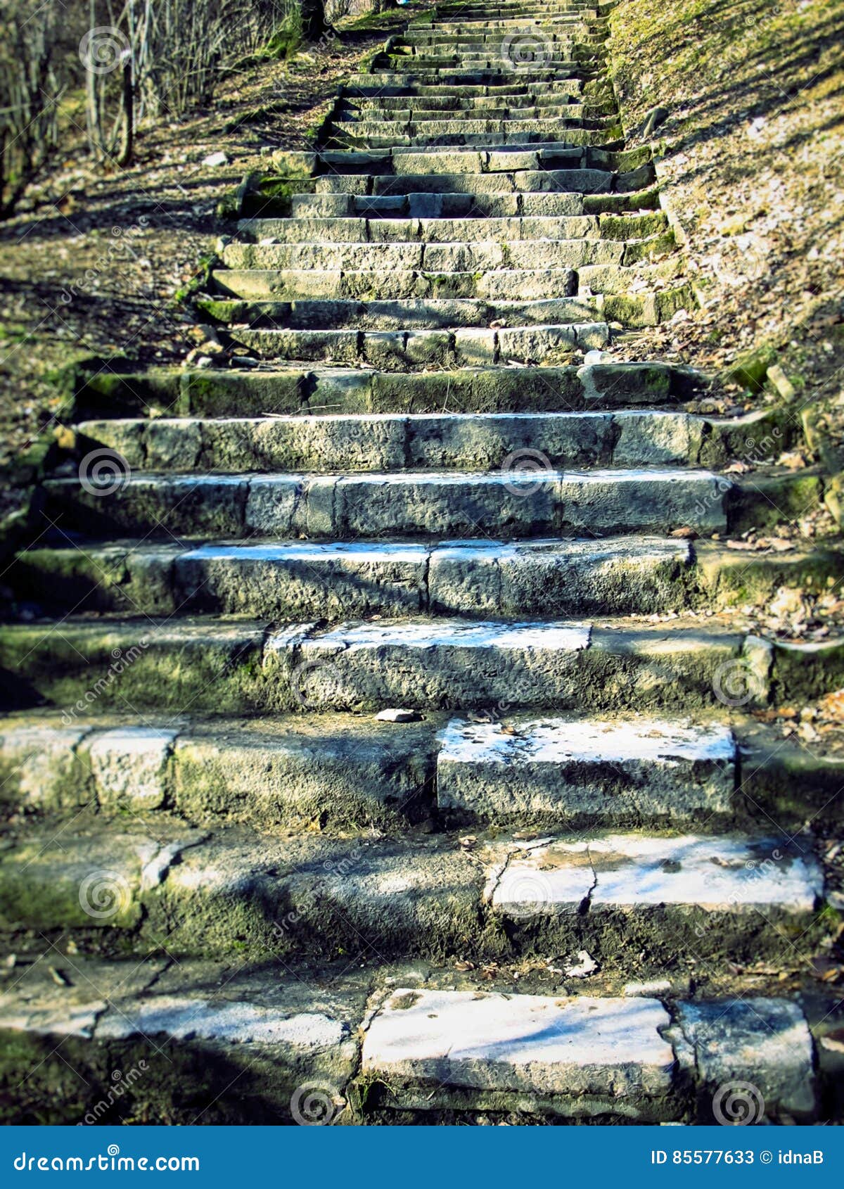 Steps up the hill stock image. Image of greenish, stroll - 85577633