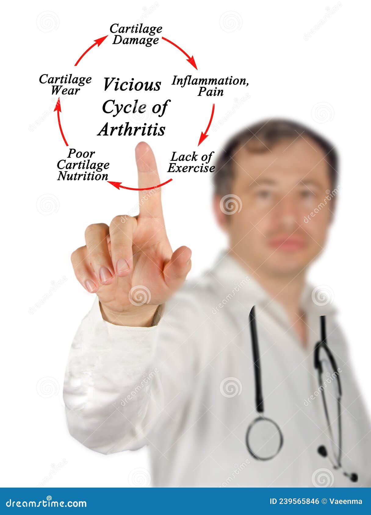 Steps In Vicious Diet Cycle Royalty-Free Stock Image | CartoonDealer ...