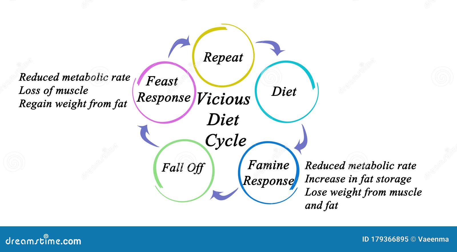Steps in Vicious Diet Cycle Stock Illustration - Illustration of ...