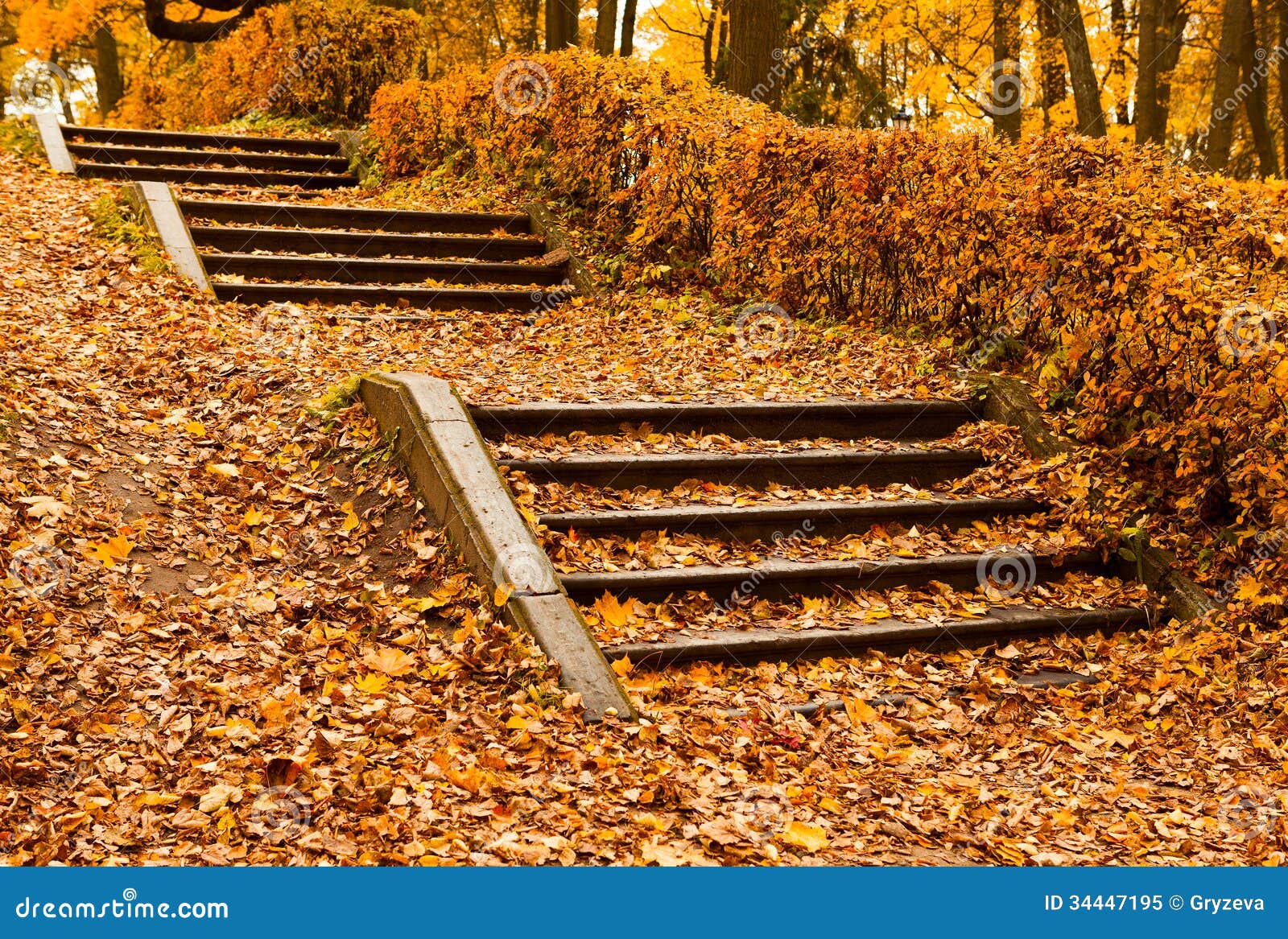 Steps in Yellow Leaves in Autumn Stock Image - Image of orange, stairs ...