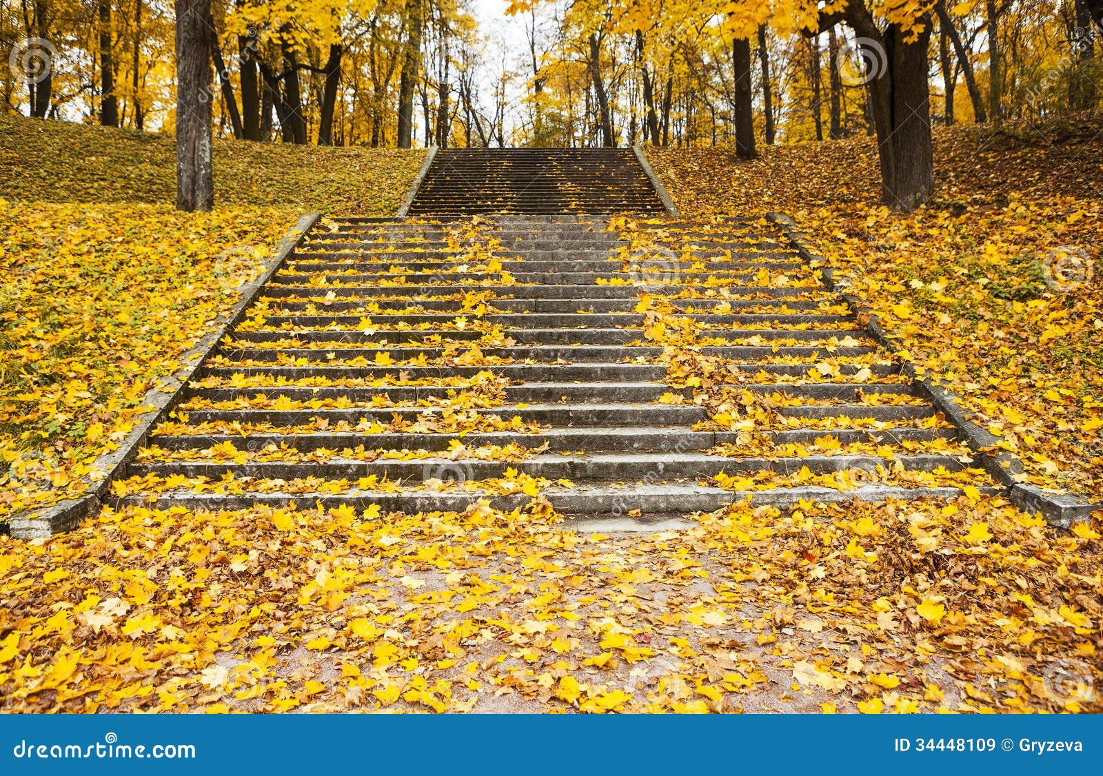 Steps in Yellow Leaves in Autumn Stock Image - Image of season, fall ...