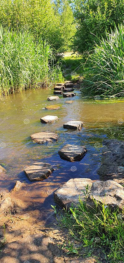 Stepstones in river stock photo. Image of forest, grass - 221436698