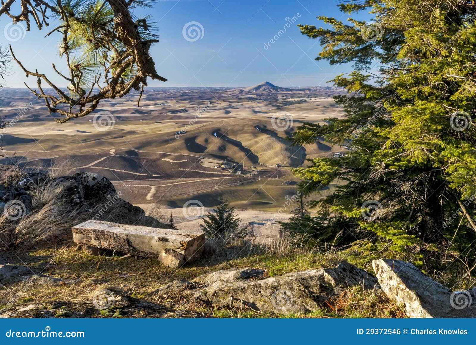 Steptoe Butte and Farm Fields Washington State Stock Photo - Image of ...