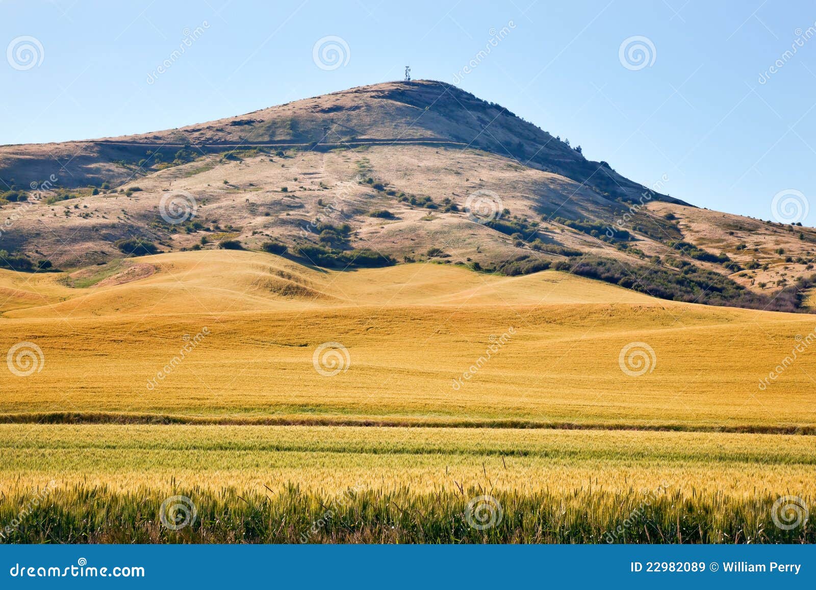 Steptoe Butte Palouse Washington Stock Image - Image of agricultural ...