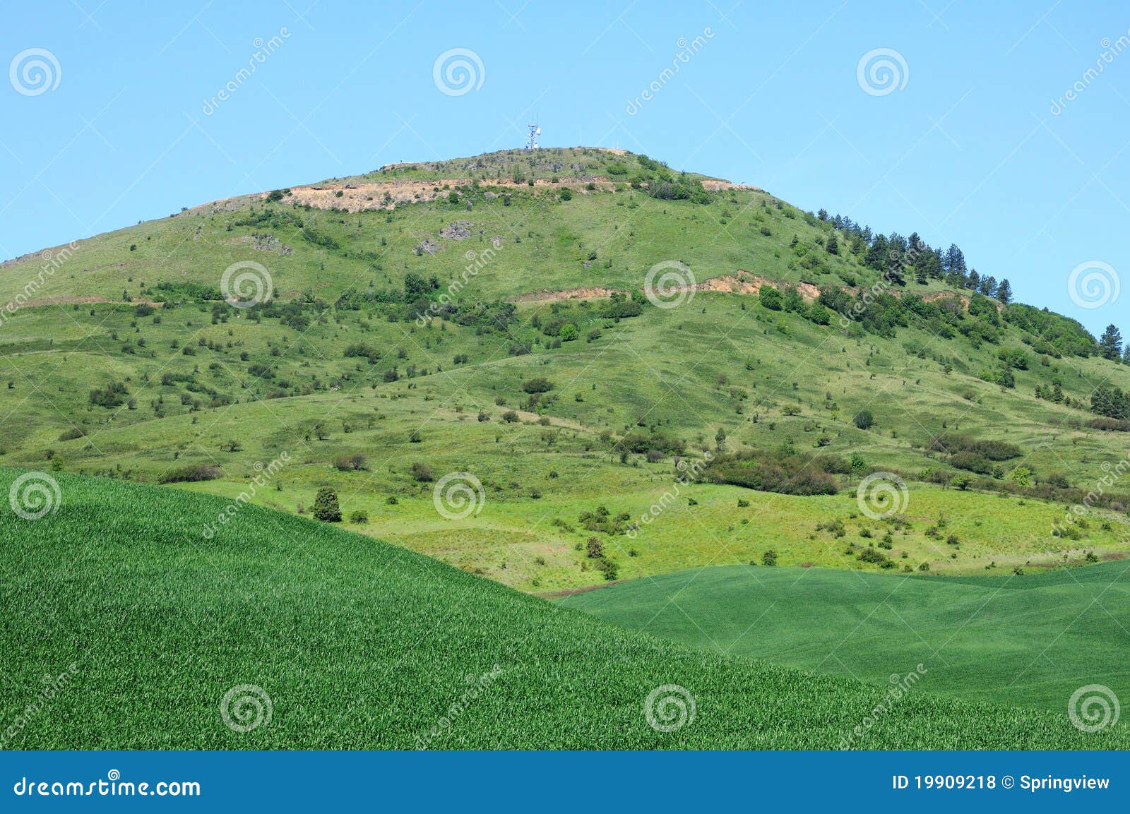 Steptoe Butte Wind Turbines Royalty-Free Stock Photography ...