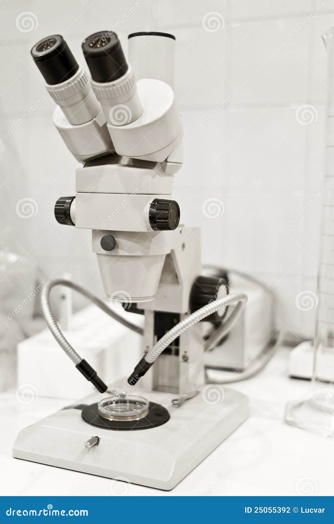 Stereo-microscope stock photo. Image of petri, laboratory - 25055392