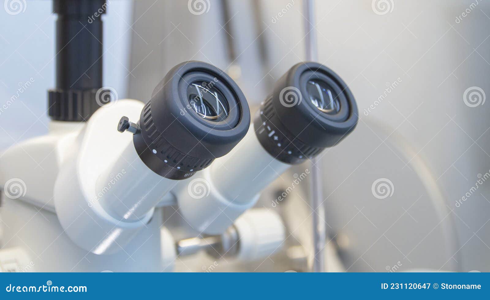 Stereo Microscope in the Laboratory, Close Up Eyepieces, Ocular Stock ...