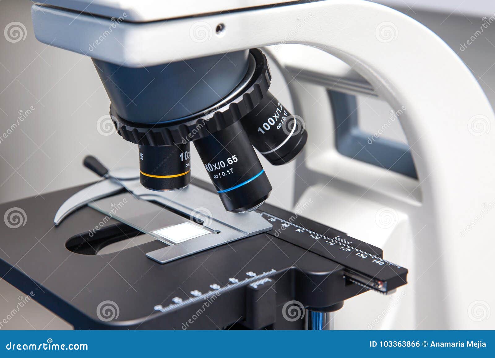 Stereo Microscope in the Laboratory Stock Photo - Image of bacteriology ...
