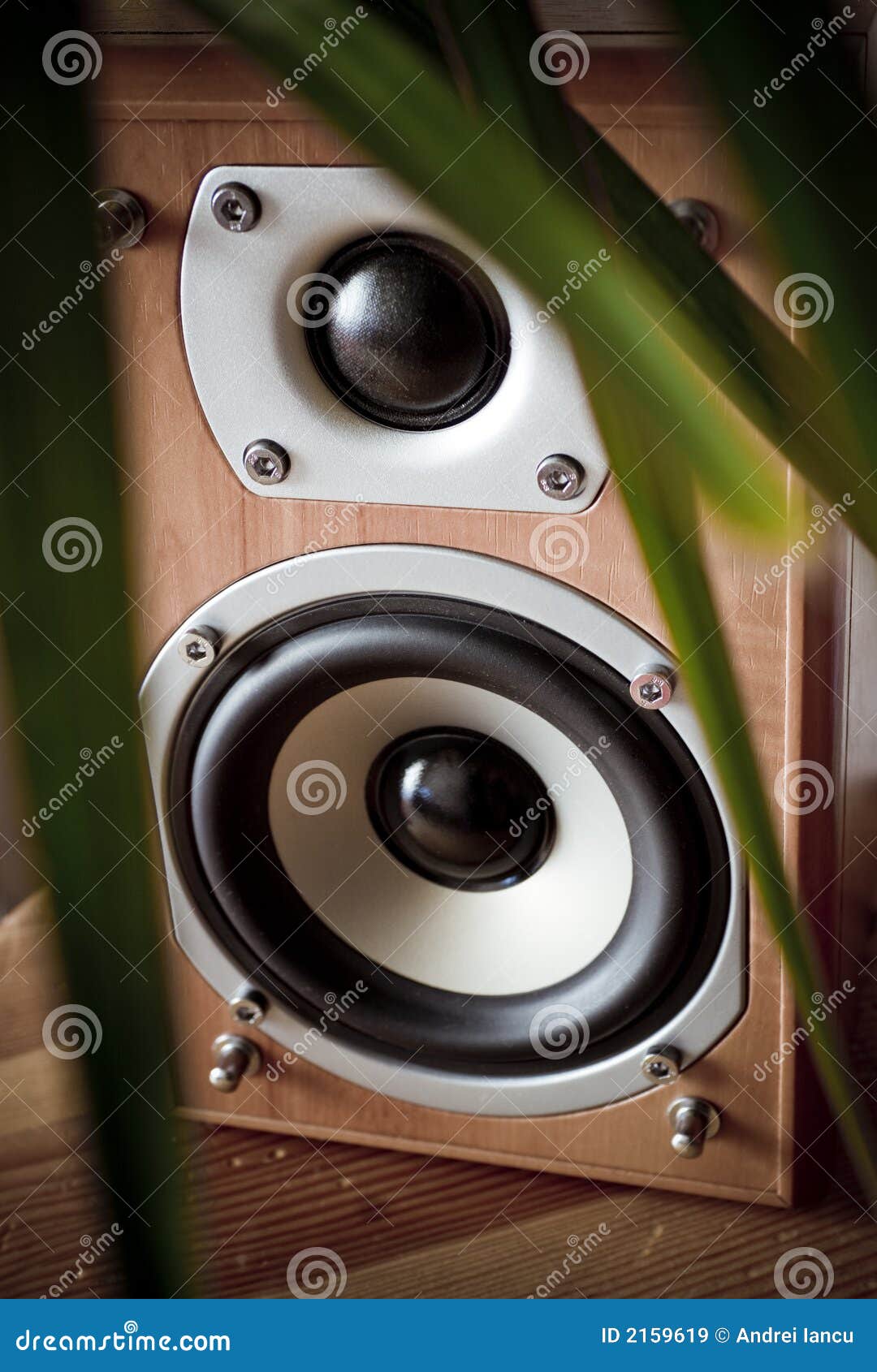 Stereo Speaker stock image. Image of music, leaves, circles - 2159619