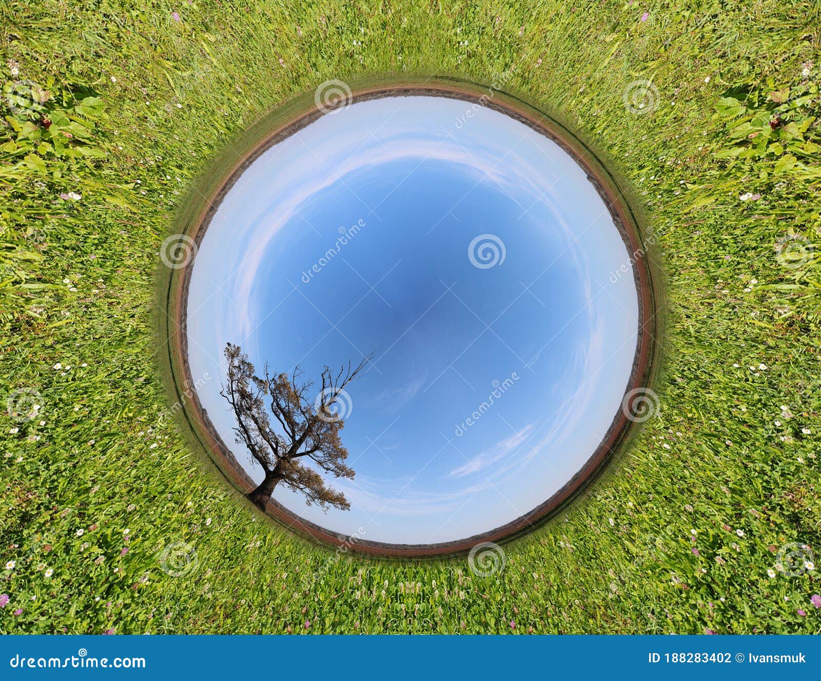 Stereographic Panoramic Projection of a Green Field with an Tree Stock ...