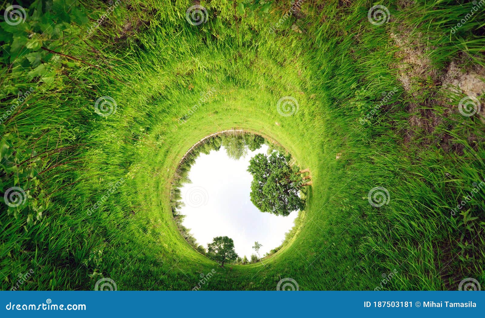 Stereographic Panoramic Projection of a Green Field with Trees in the ...