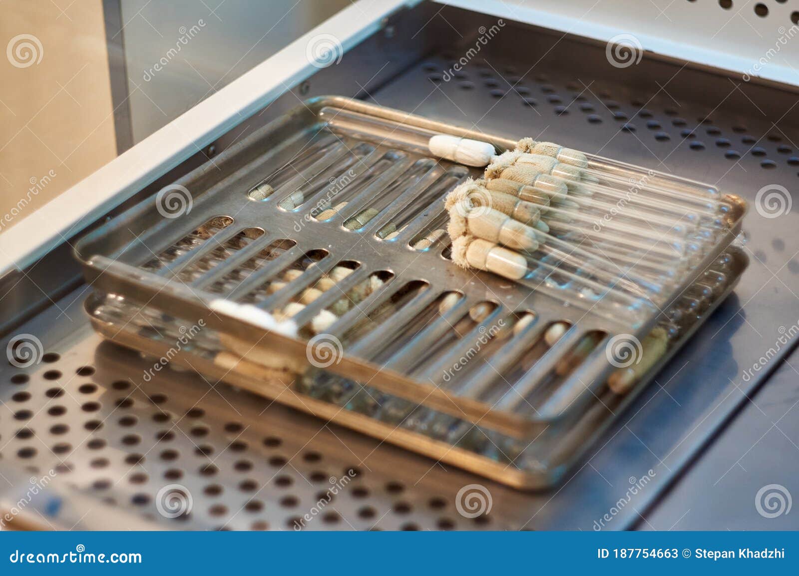 Sterilization of Test Tubes in a Dry-burning Cabinet Stock Image ...