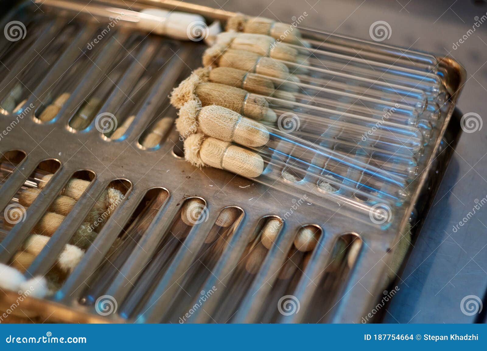 Sterilization of Test Tubes in a Dry-burning Cabinet Stock Photo ...