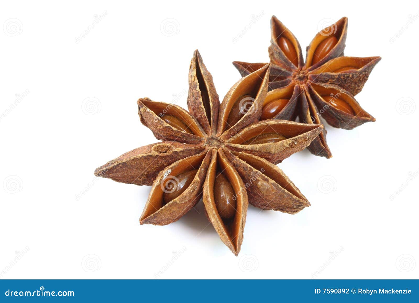 Stern-Anis stockfoto. Bild von lakritze, form, paar, horizontal - 7590892