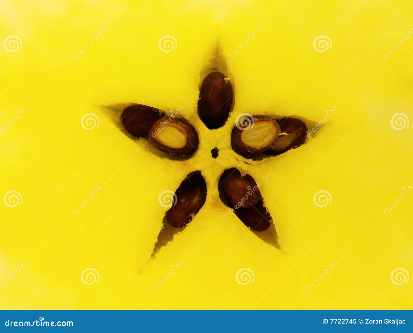 Sternförmiger Apfelkern stockbild. Bild von mahlzeit, mitte - 7722745