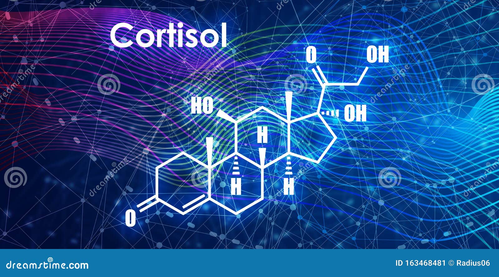 Hormone Cortisol And Human Organs Cartoon Vector