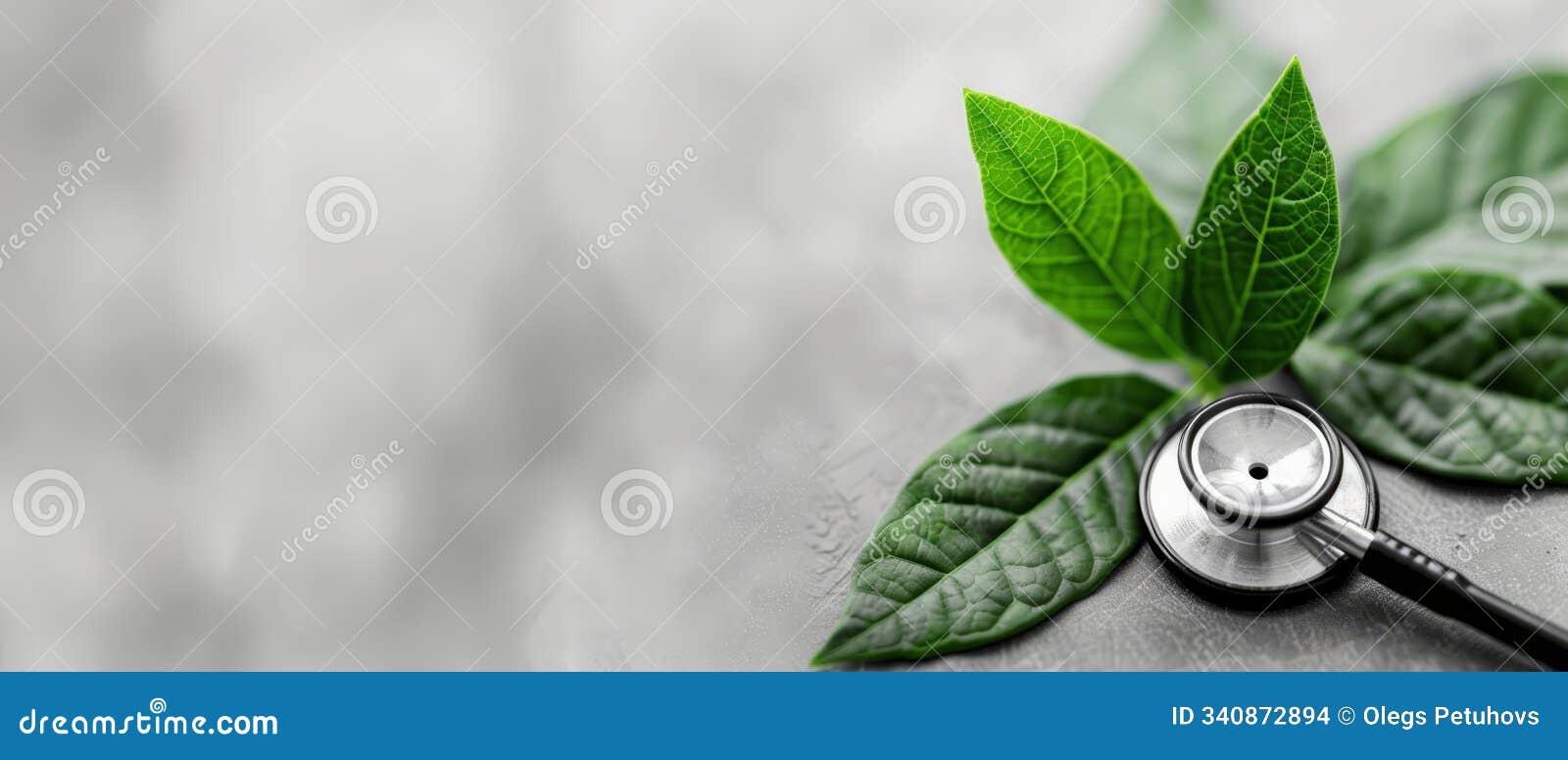 A Stethoscope Atop a Leafy Green Leaf the Instrument Gently Reposes ...