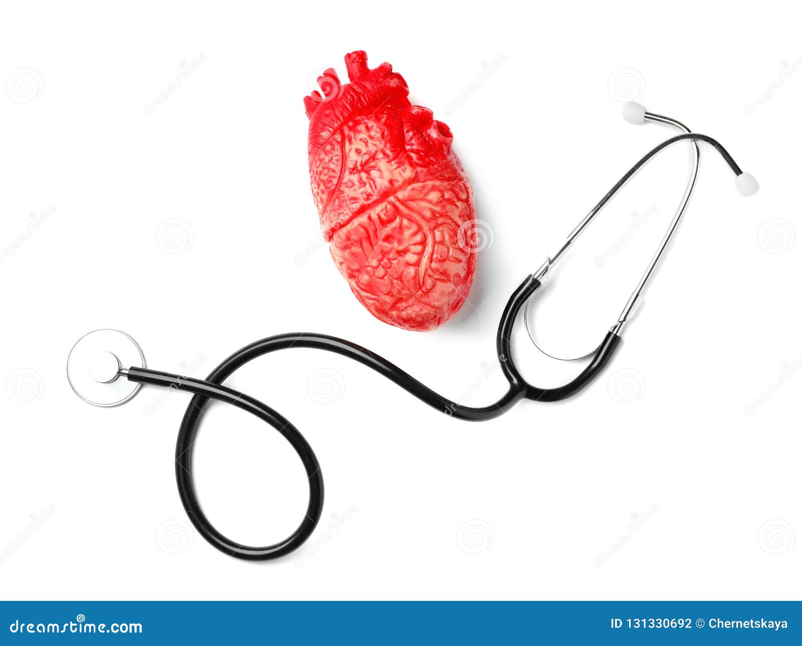 Stethoscope for Checking Pulse and Heart Model on White Background ...