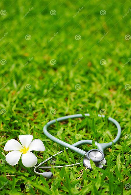 Stethoscope and Flower on Grass Stock Photo - Image of lung, grass ...