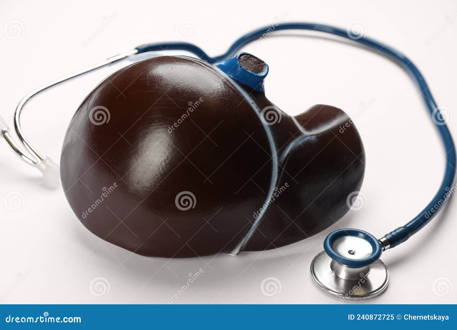 Concept Of The Hepatobiliary System. Anatomical Models Of Liver And ...