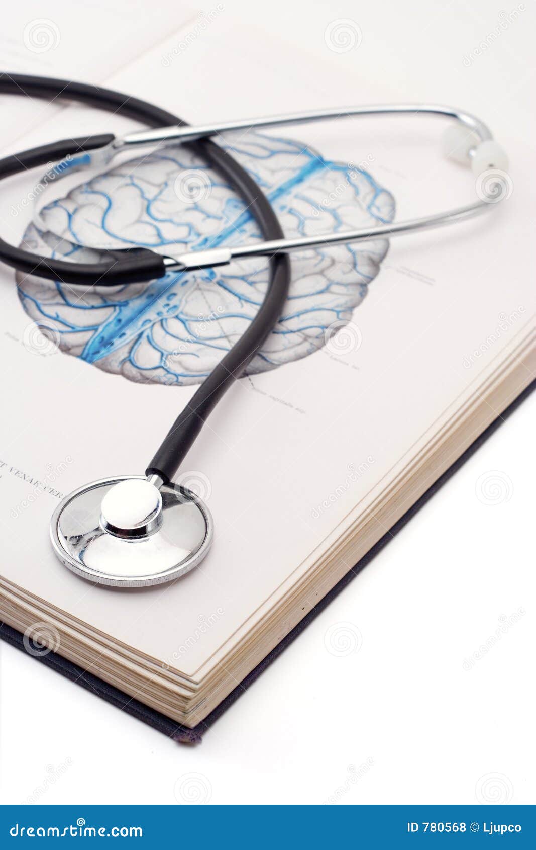 Stethoscope on a Medical Book Stock Photo - Image of listen ...