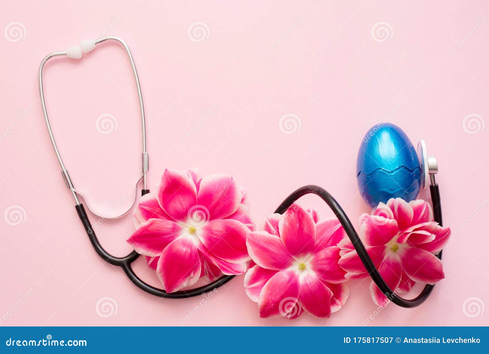 Stethoscope, Spring Flowers and Blue Easter Egg on Pink Background with ...