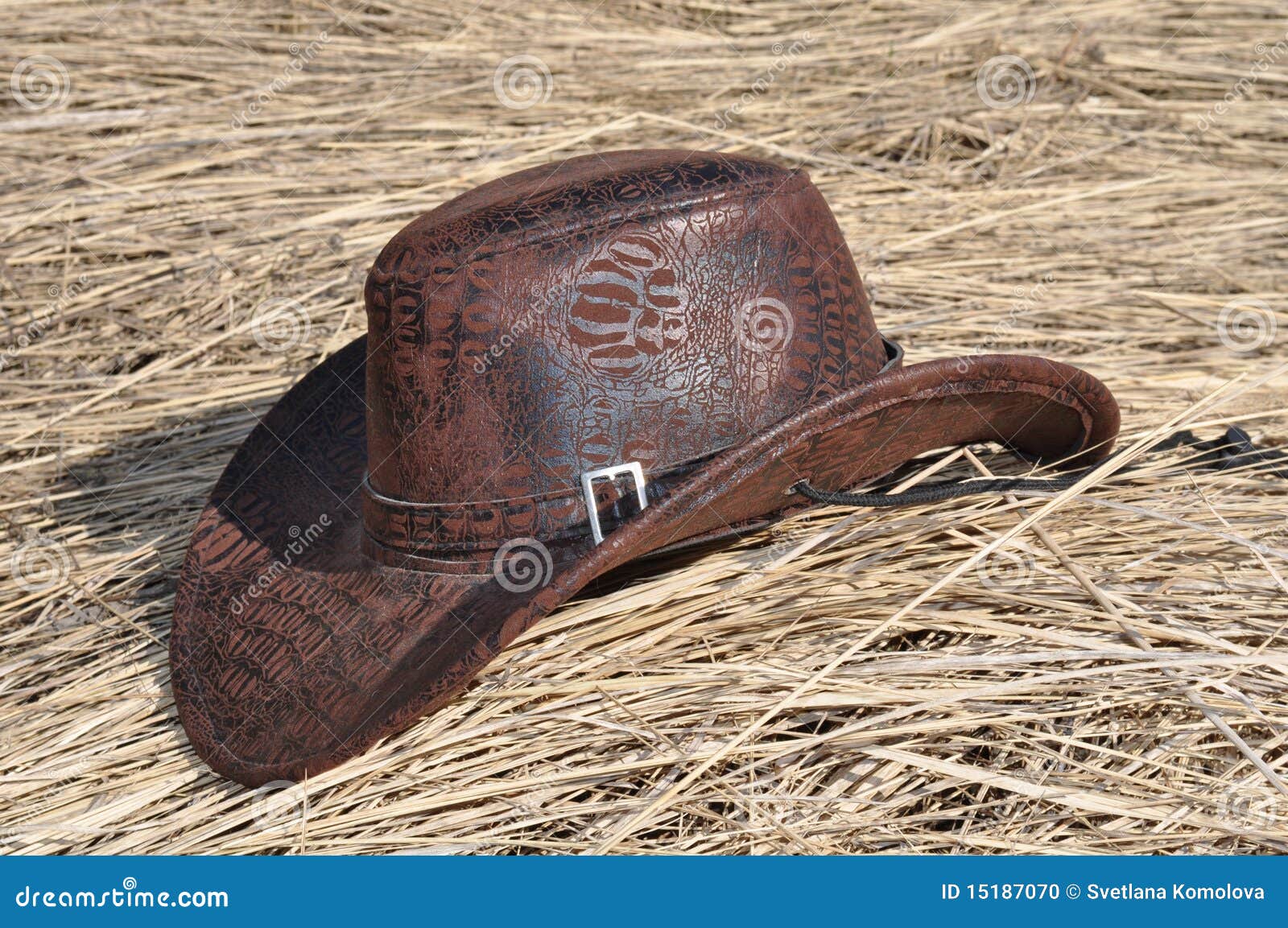 175 Side View Cowboy Hat Photos - Free & Royalty-Free Stock Photos from ...