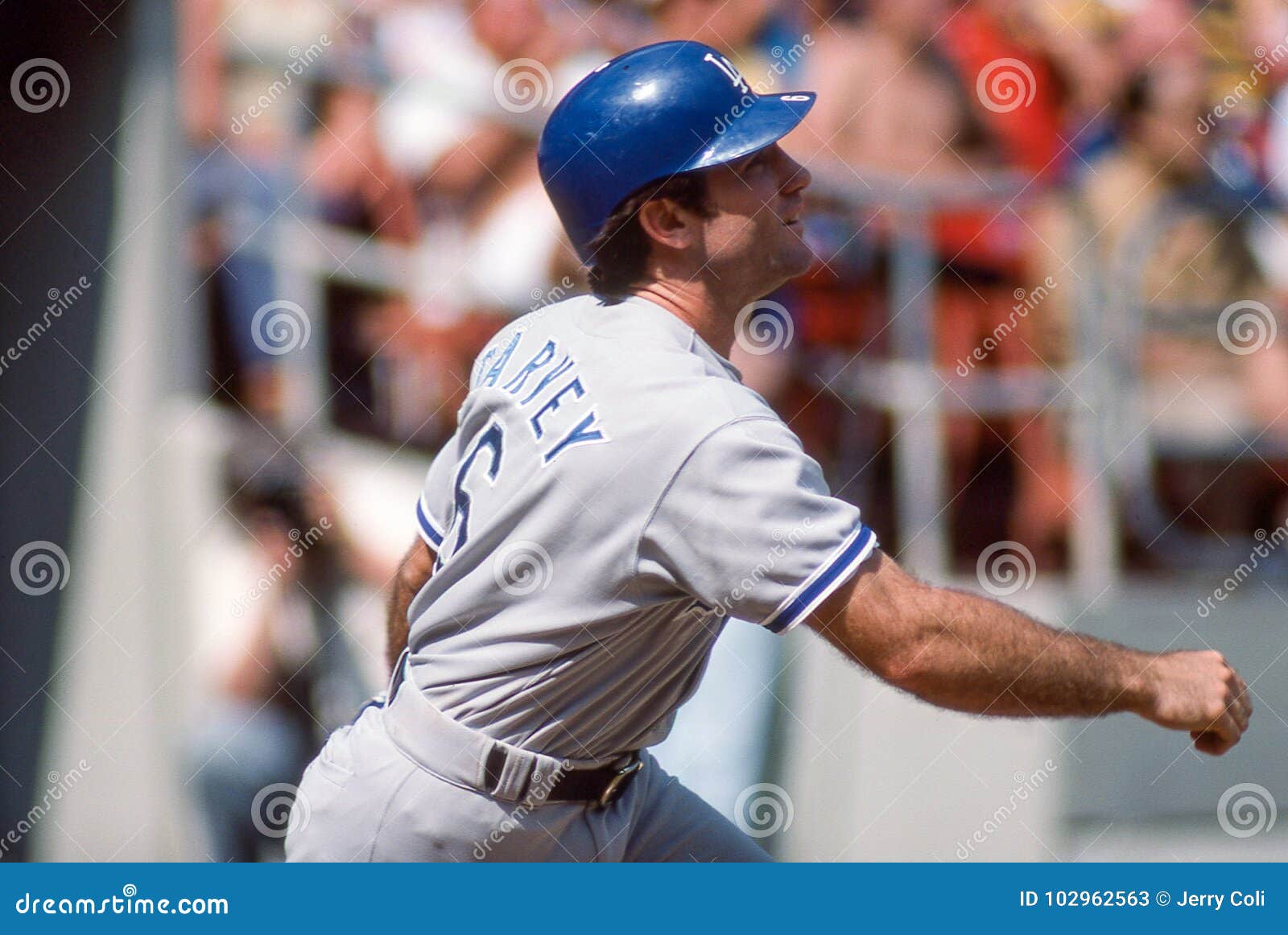 Steve Garvey foto de archivo editorial. Imagen de diapositiva - 102962563