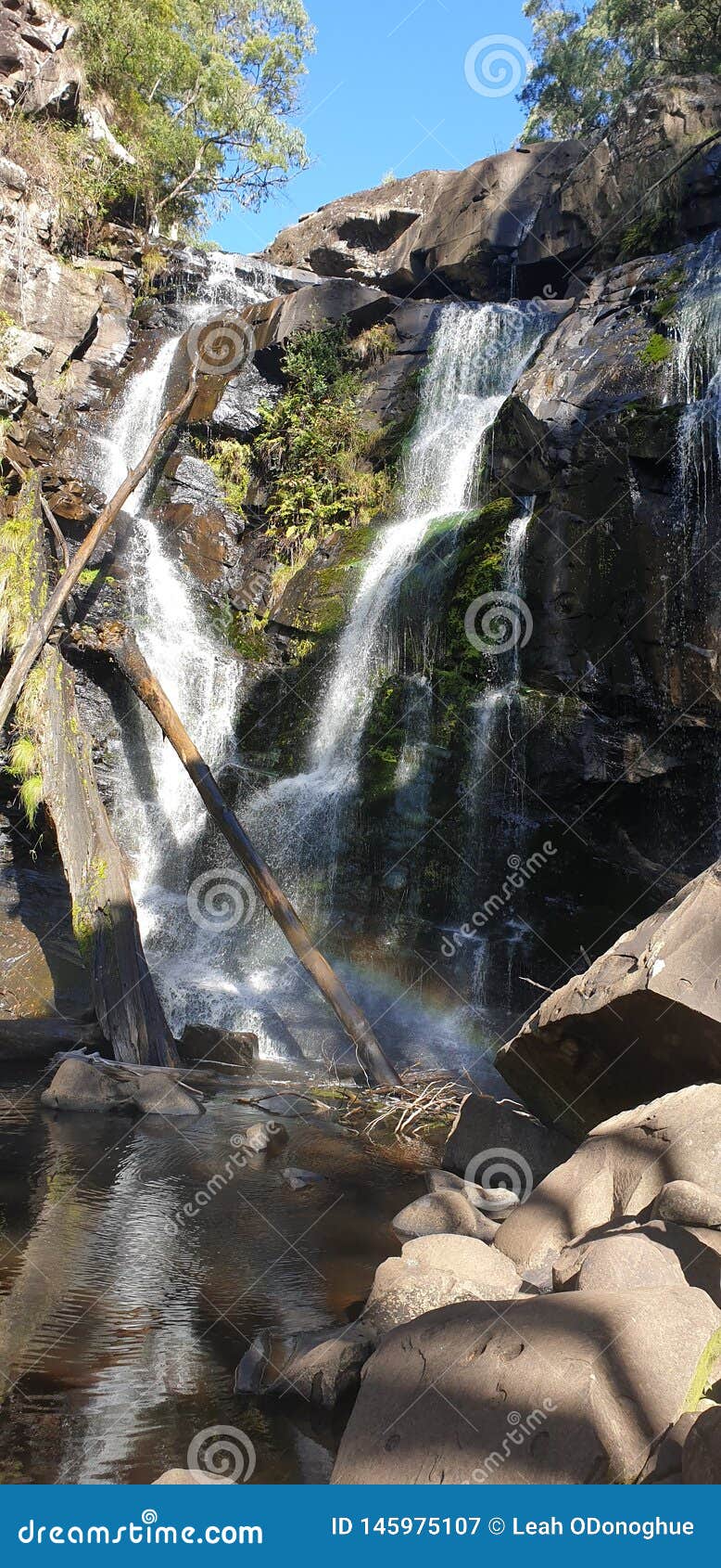 Stevensons Falls stock image. Image of falls, stevensons - 145975107