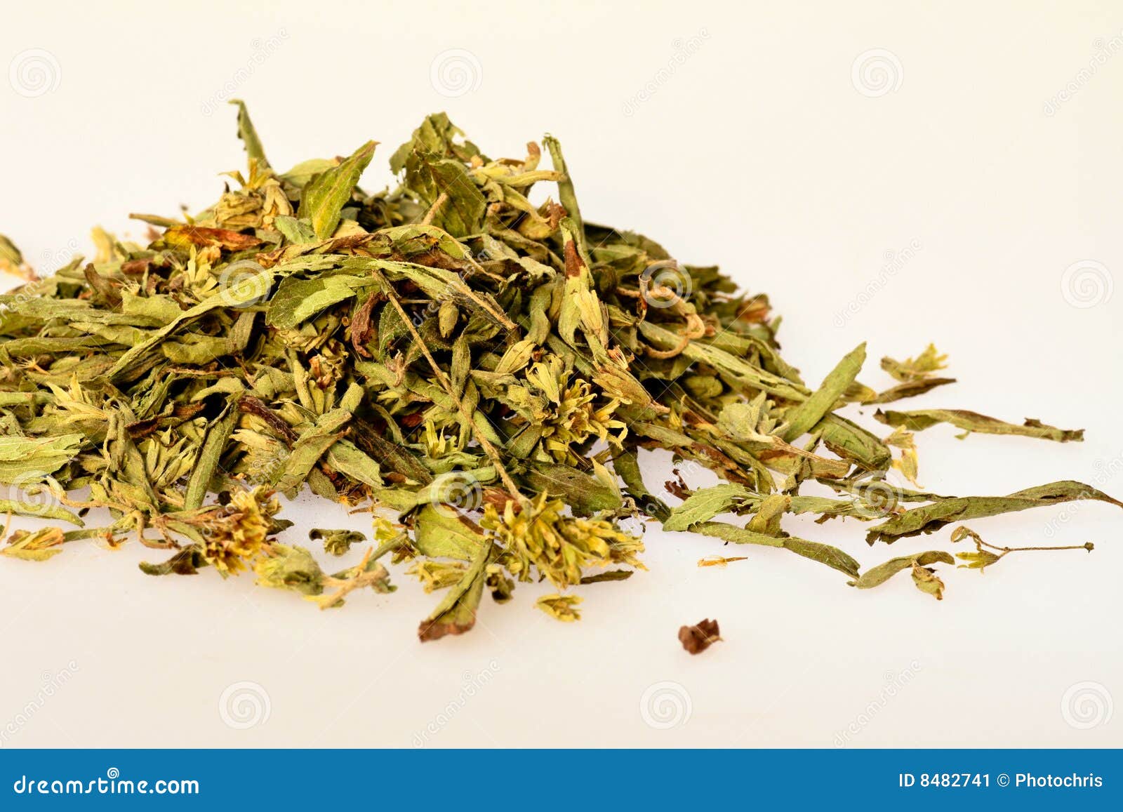 Stevia stock image. Image of plants, sweetly, sweet, stevia - 8482741