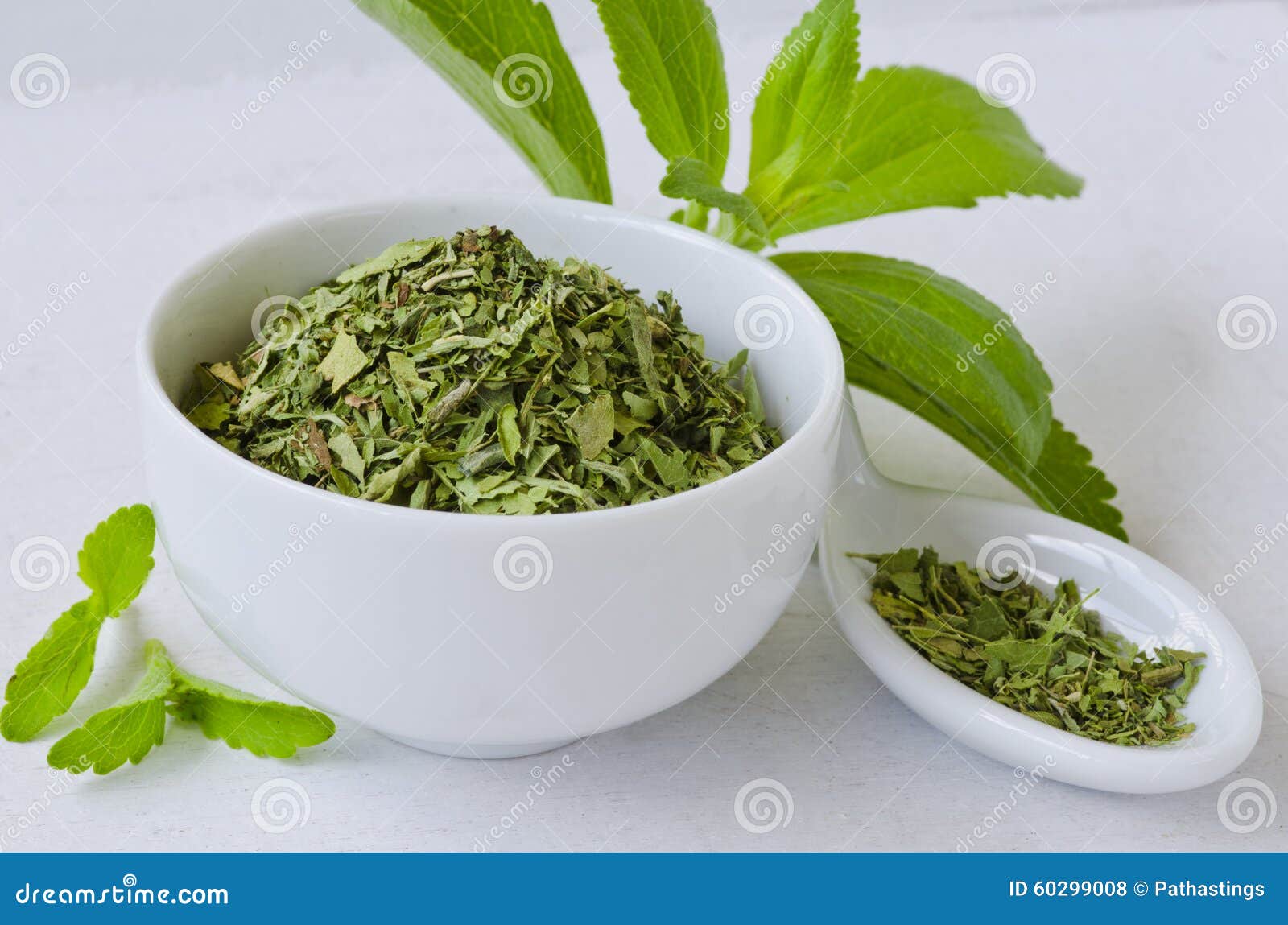 Stevia Fresh and Dried Leaves. Stock Photo - Image of organic ...