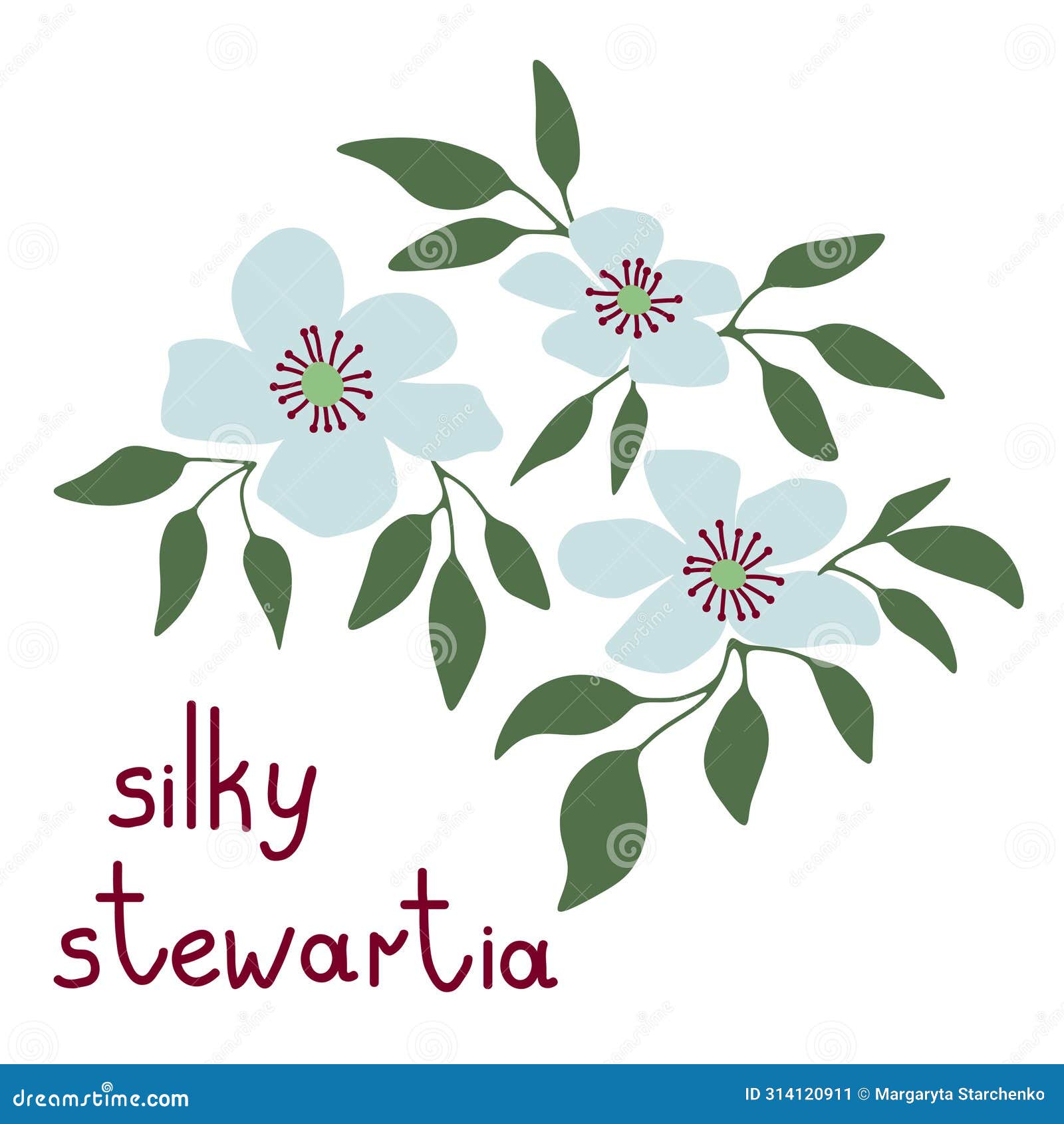 Stewartia Cartoons, Illustrations & Vector Stock Images - 36 Pictures ...