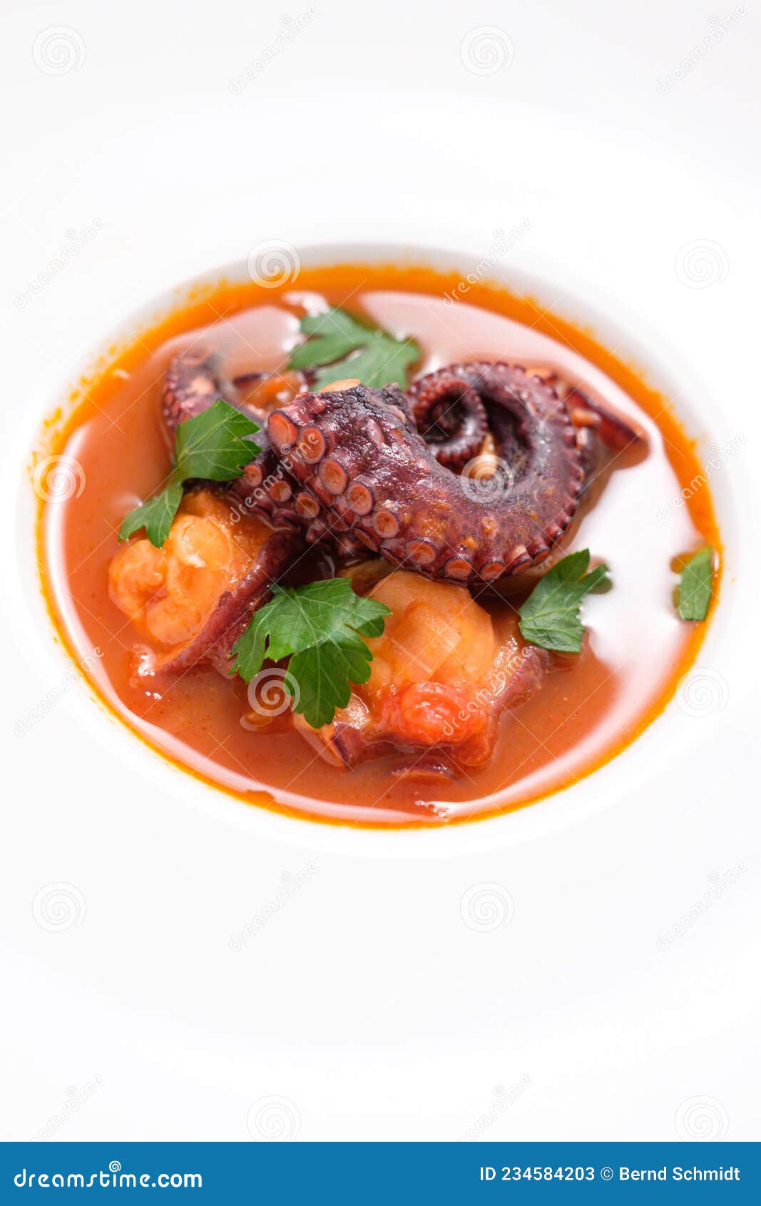 Stewed Octopus and Tomato with Parsley Stock Image - Image of tomato ...