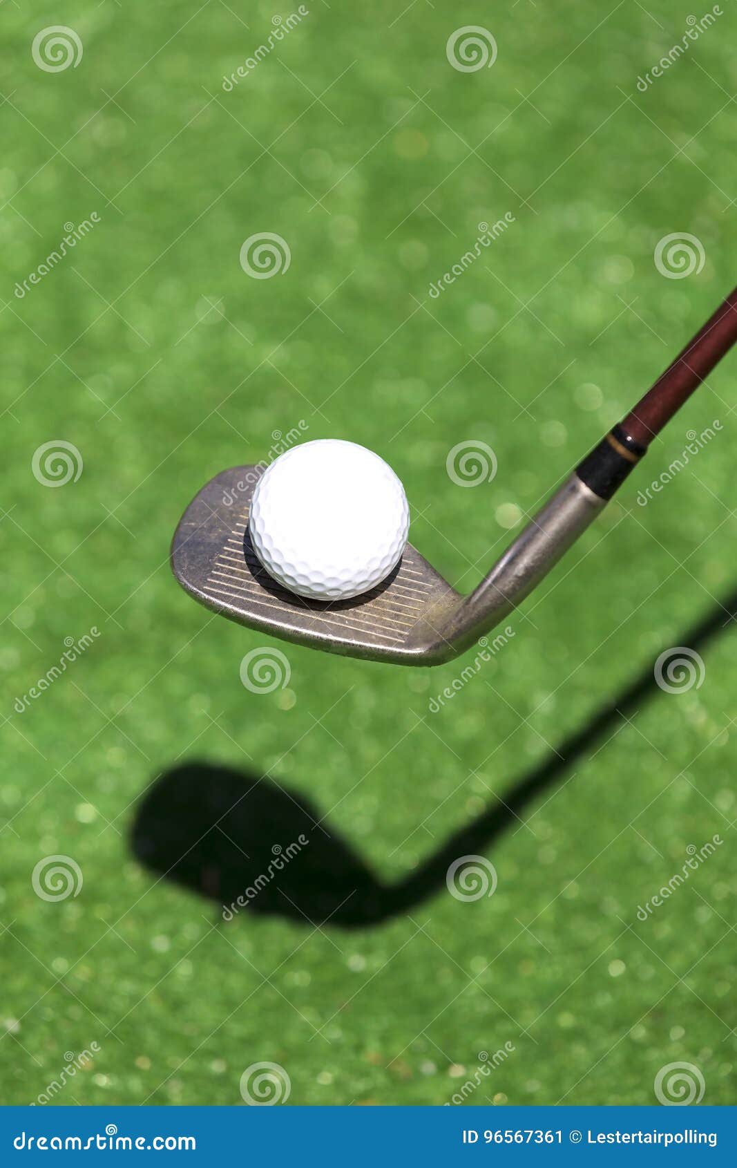 Stick with a Ball on an Artificial Golf Stock Image - Image of activity ...
