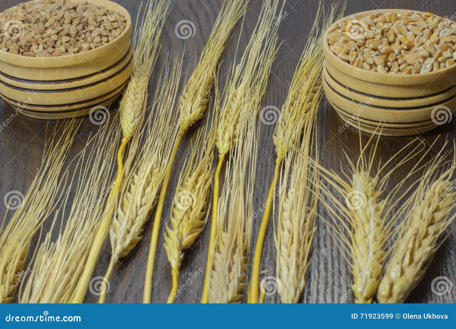 Stick of Barley, Wheat and Buckwheat Stock Image - Image of harvesting ...