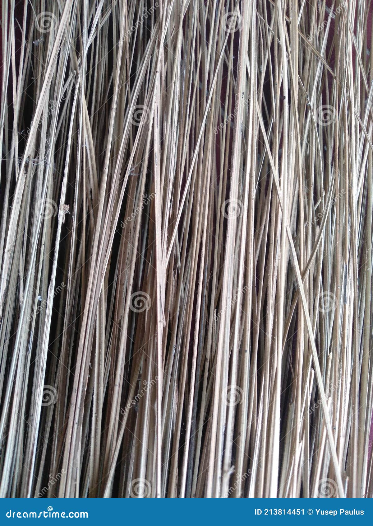 The Stick Broom Is A Traditional Indonesian Broom Royalty-Free Stock ...