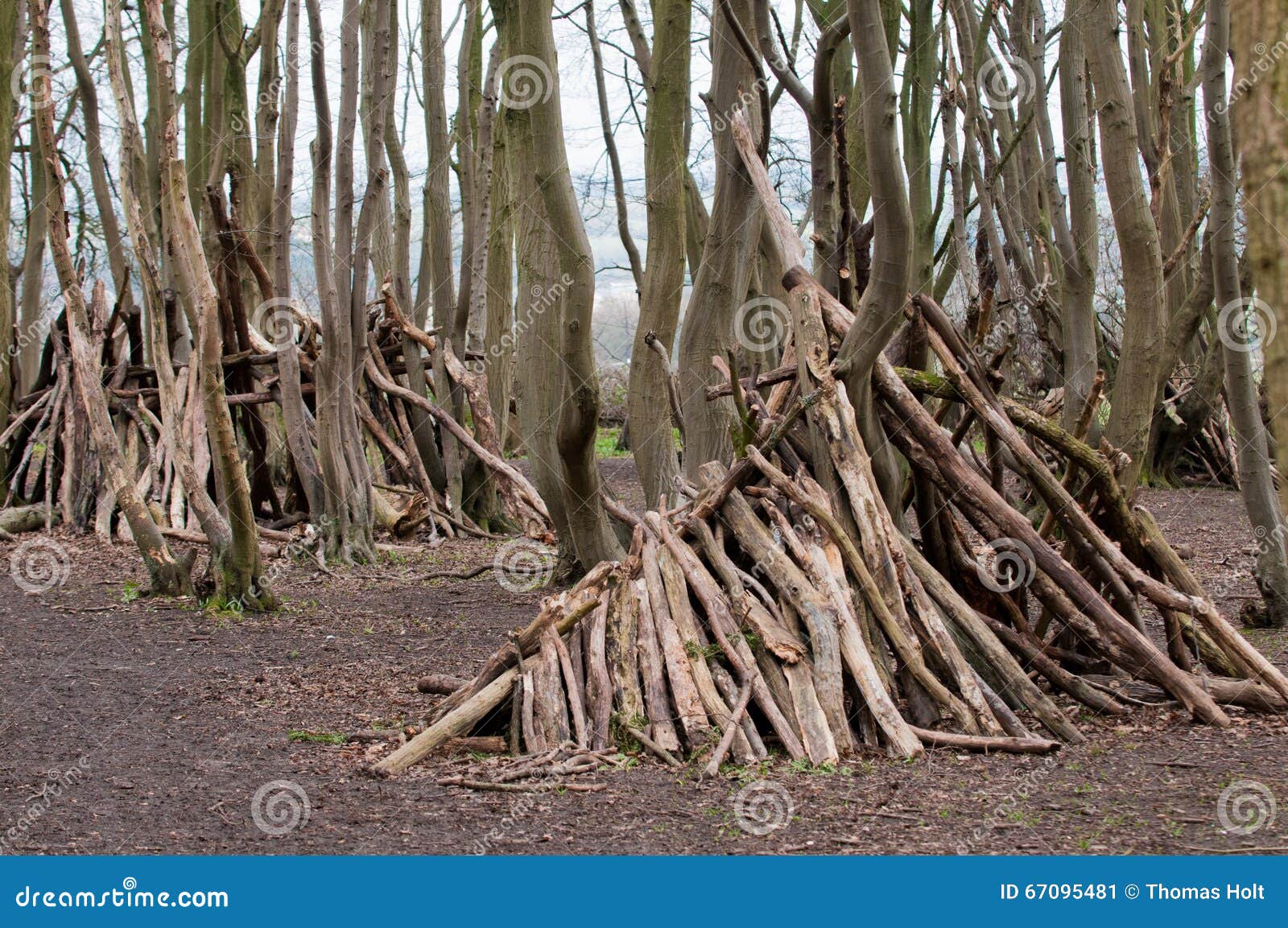 Stick den stock image. Image of recreation, clearing - 67095481
