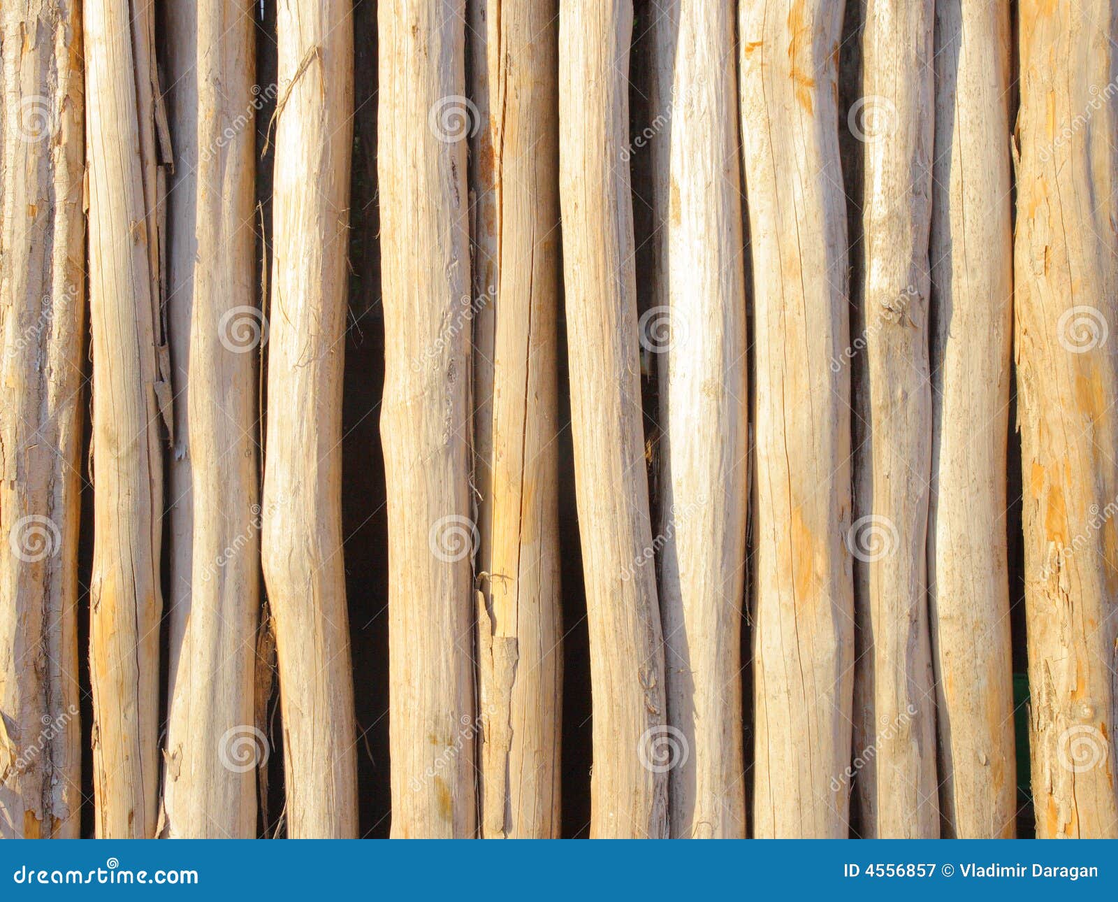 Stick fence stock image. Image of bind, timber, branch - 4556857