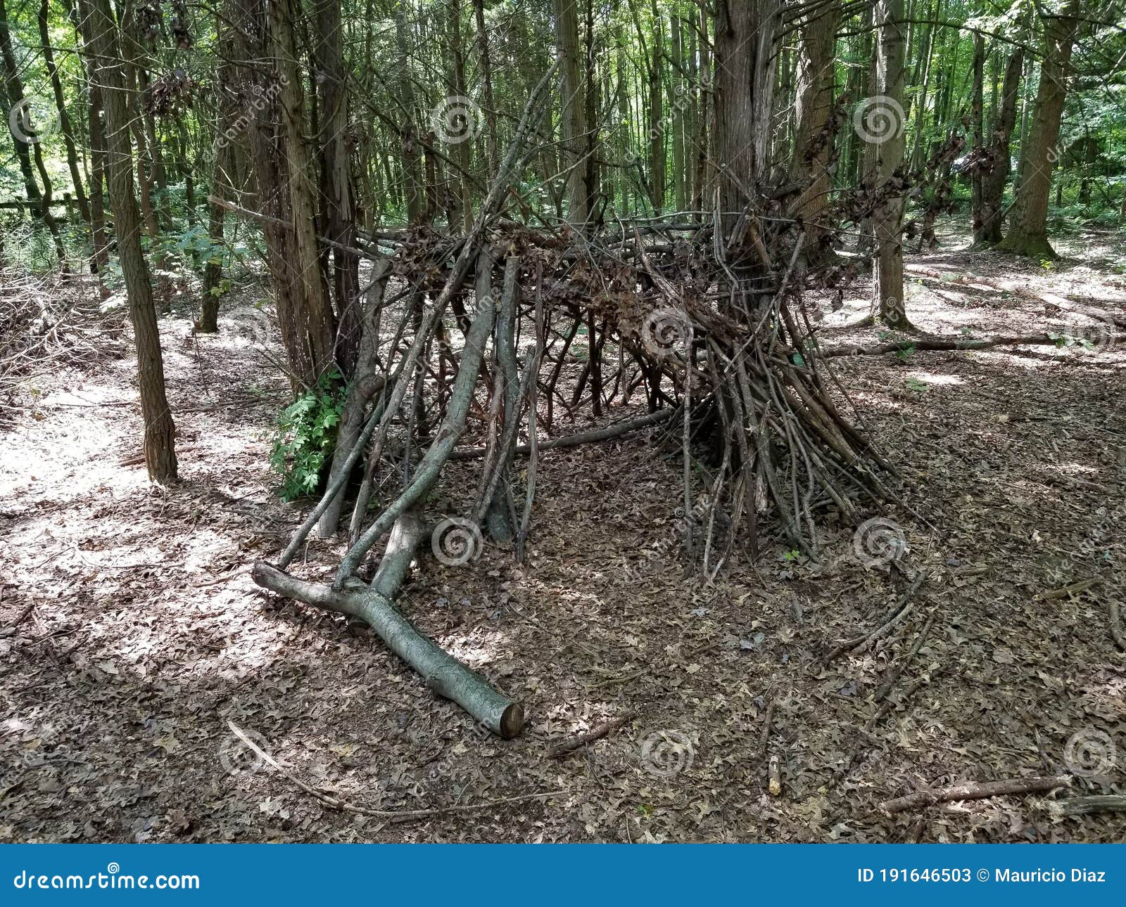 The Stick House Timber Beams And Truss Frames Were Sourced Framework ...