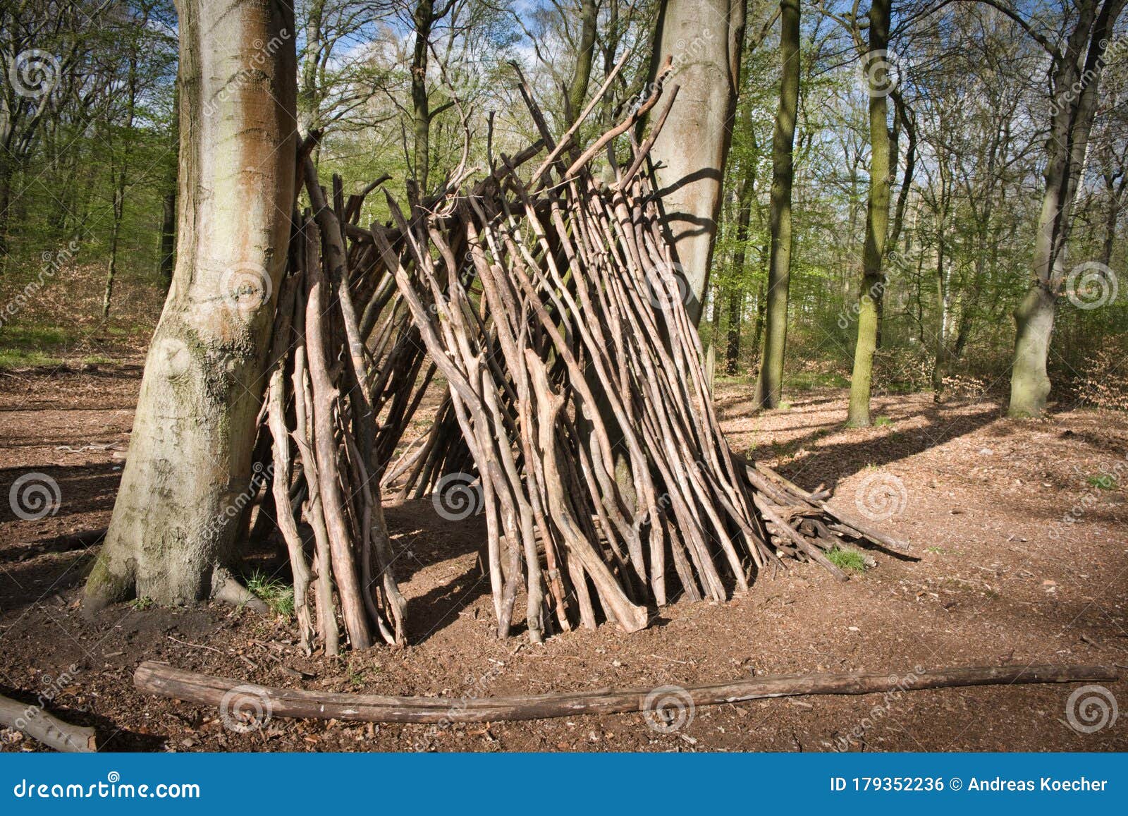 Stick hut house in forest stock photo. Image of branches - 179352236