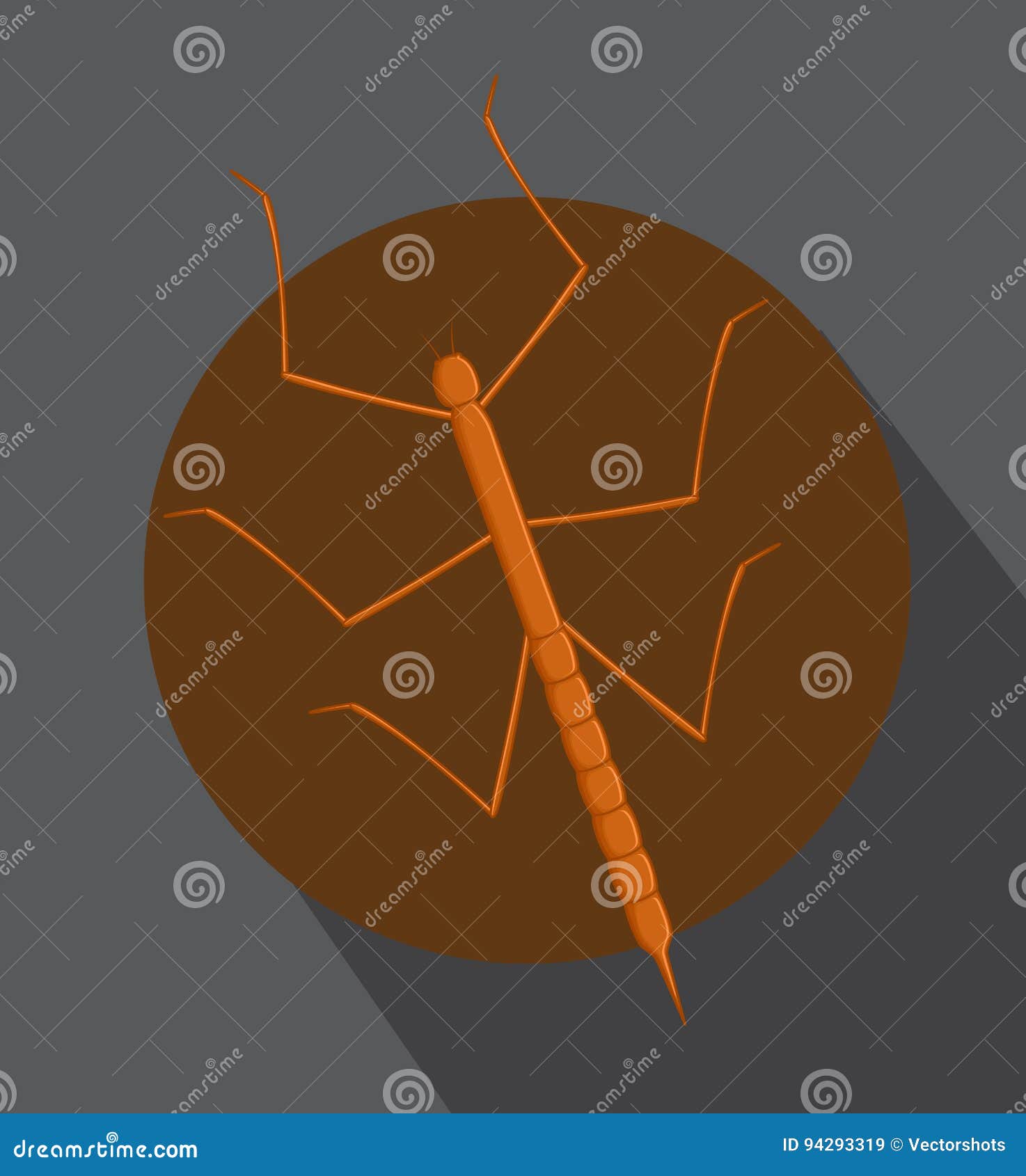 Stick Insect Black Silhouette Animal Vector Illustration ...