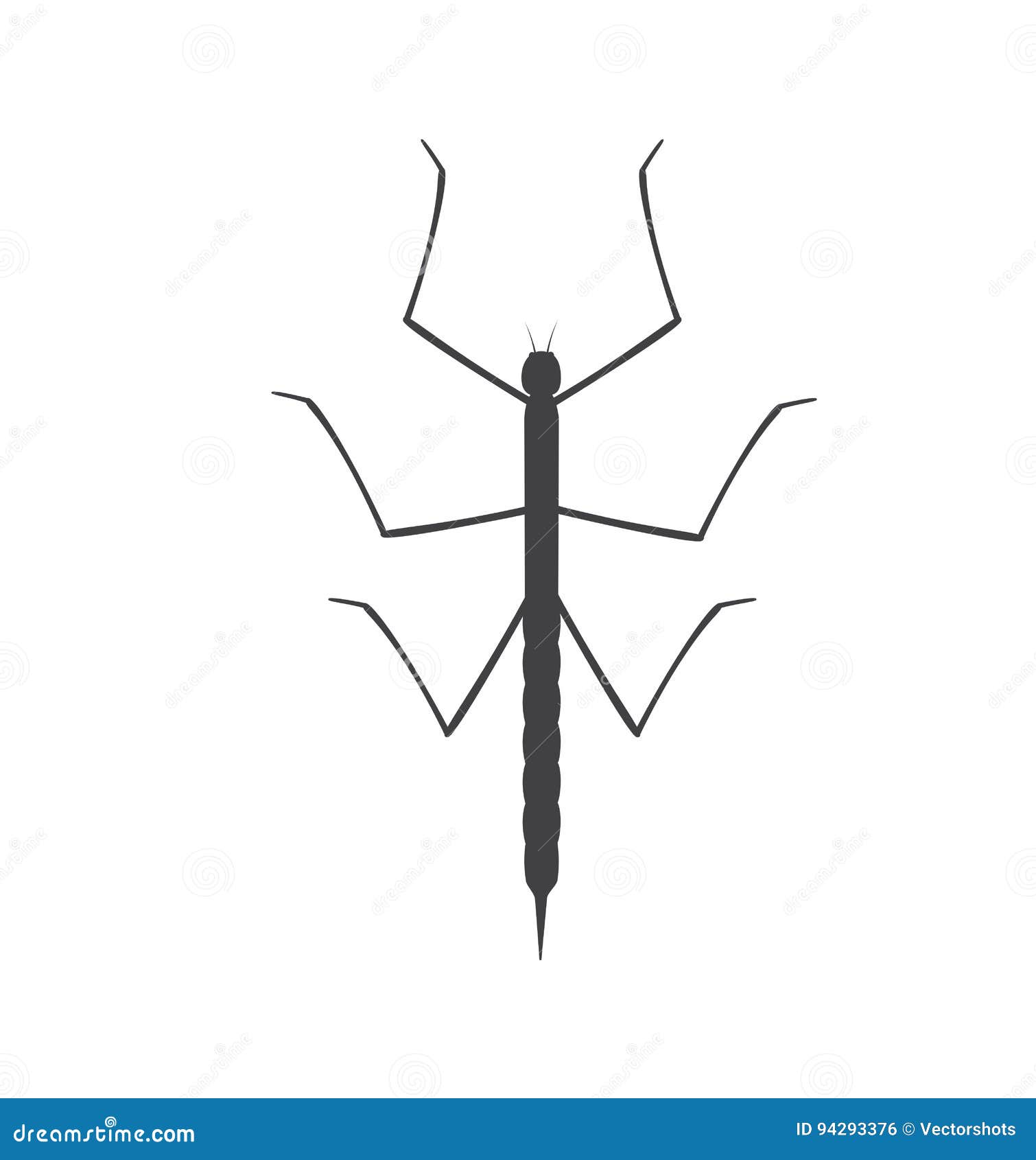 Stick Insect Black Silhouette Animal Vector Illustration ...